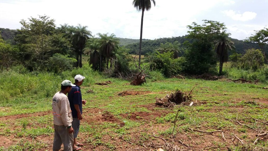 Assentamento Resistência: uma história de luta que nunca acaba - MST