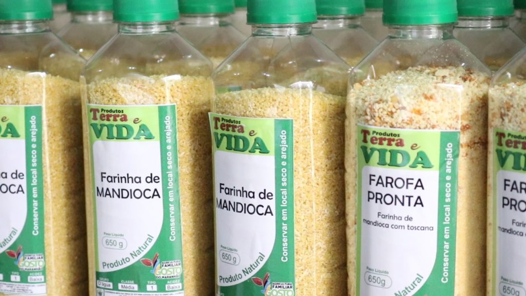 Mandioca, macaxeira, aipim: a raiz mais popular do Norte ao Nordeste - MST