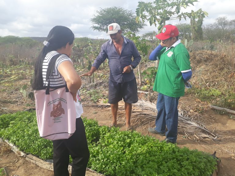 Metodologia “De Camponesa a Camponês à Camponesa a Camponês” e a ...