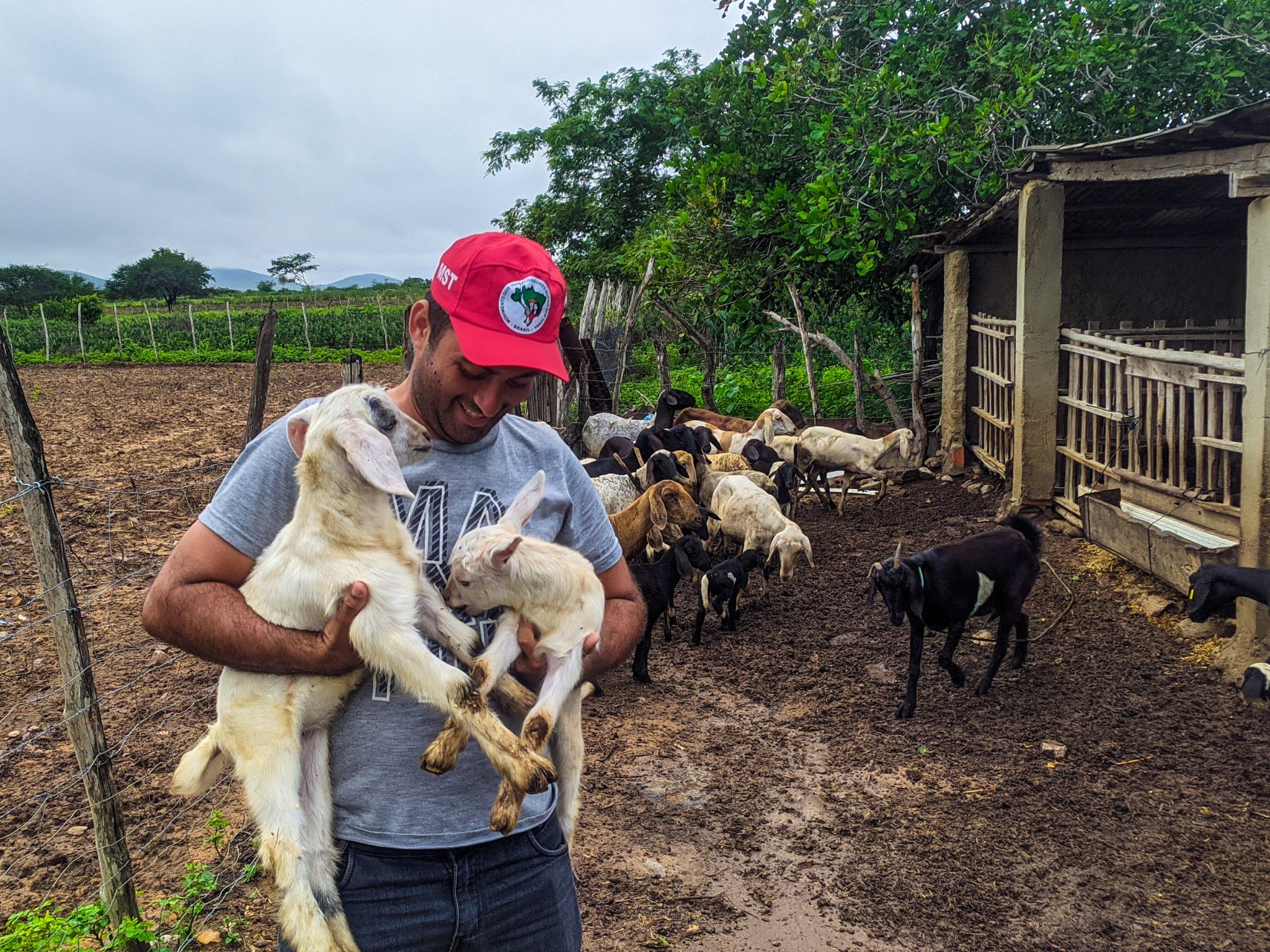 Série resgata história de luta e resistência de assentamento em Alagoas ...