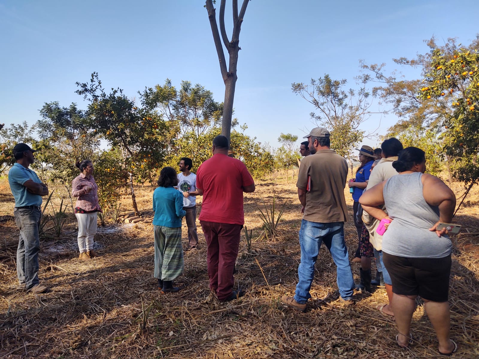 Projeto coletivo promove transição agroecológica em assentamento da ...