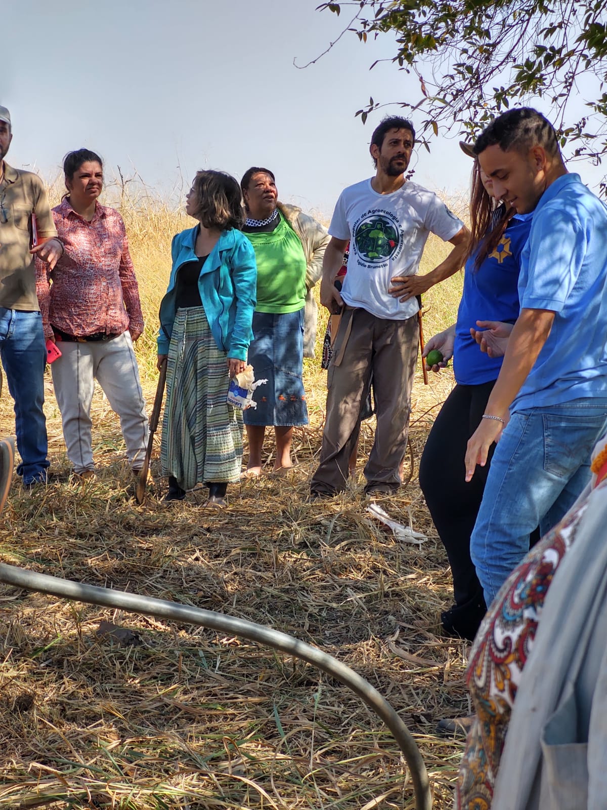 Projeto coletivo promove transição agroecológica em assentamento da ...