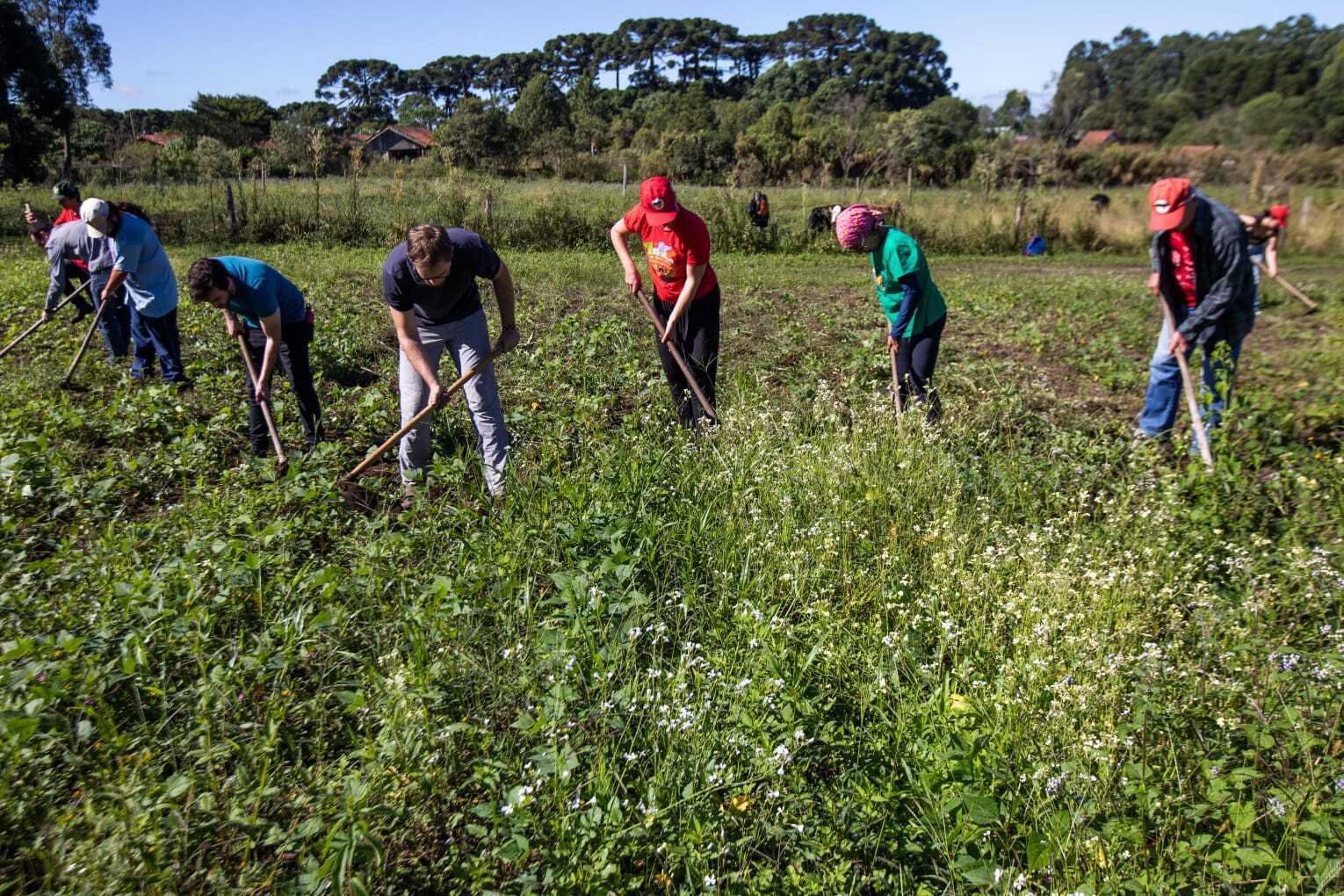 7 Benefícios do PAA para os assentamentos de Reforma Agrária - MST
