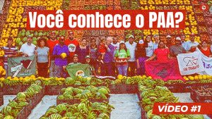 Entenda como funciona o PAA - MST