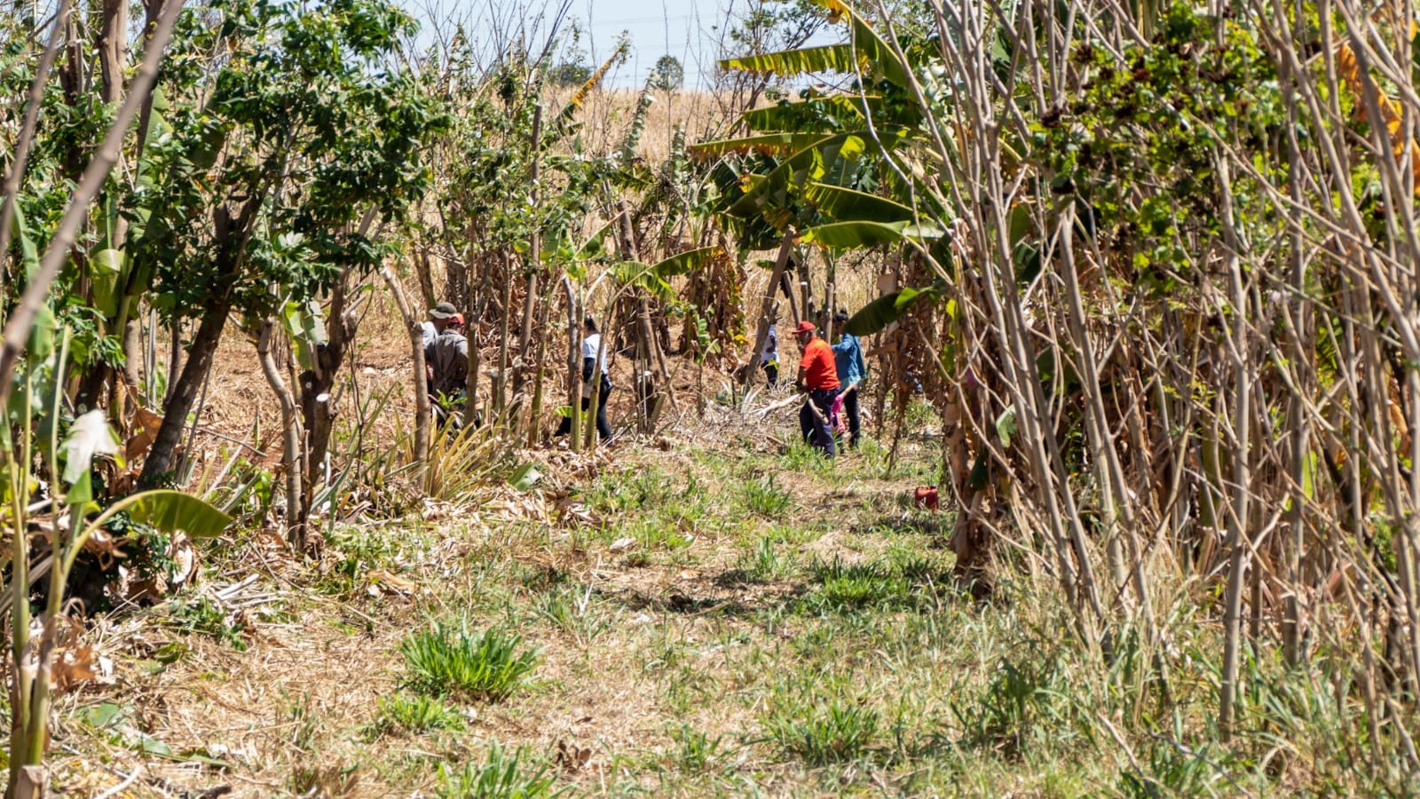Assentamento Mário Lago: do latifúndio improdutivo à produção ...